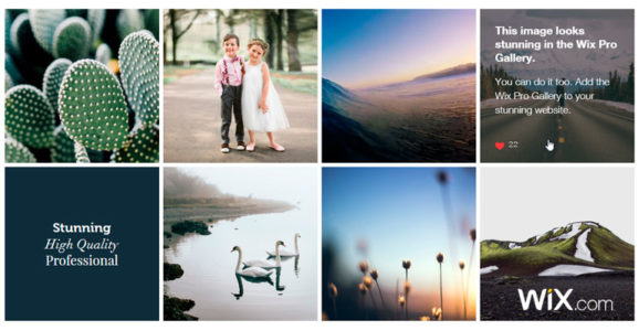 Galerías Fotográficas Profesionales con Wix | Diego Mattei Blog